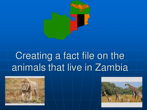 Presentation to present how to create a fact file on animals | Teaching ...