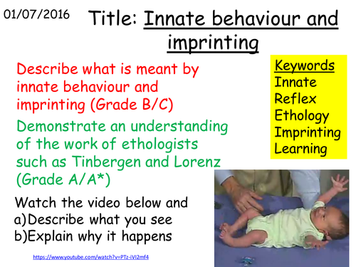 B3.12 Innate behaviours and imprinting | Teaching Resources
