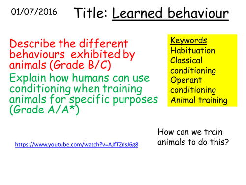 B3.14 Learned behaviour | Teaching Resources