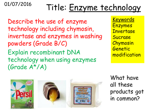B3.23 Enzyme technology | Teaching Resources