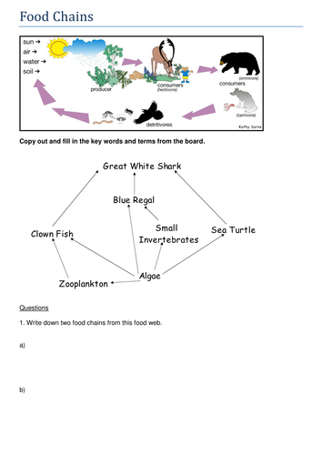 Food Chains: KS3 by Biologysubjectresources - Teaching Resources - Tes