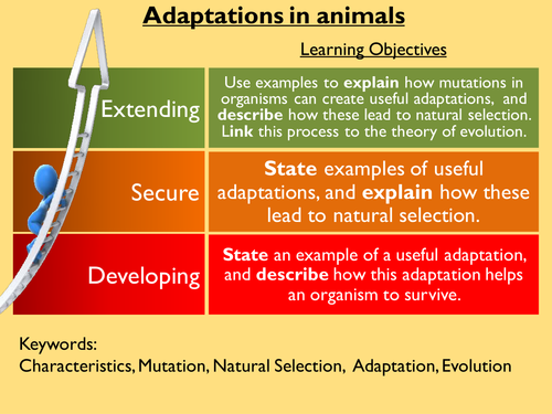 Learning objectives template with student self-assessment/reflection ...
