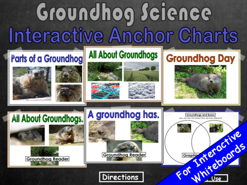 Groundhog Unit | Teaching Resources