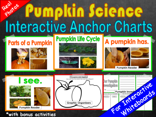Pumpkin Science Unit | Teaching Resources