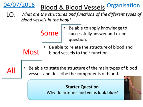 Blood Vessels & Blood - NEW GCSE by hannahradford - Teaching Resources ...