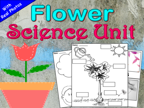 Flowers Science Unit | Teaching Resources