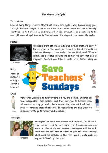 Human Life Cycle KS1 Lesson Plan, Explanation Text and Worksheet ...