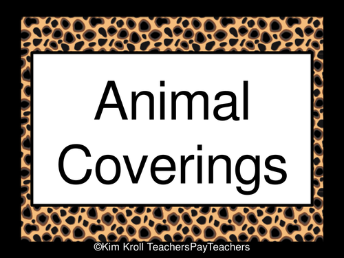 Animal Coverings PowerPoint (Editable!) 1st Grade/ Kindergarten by ...