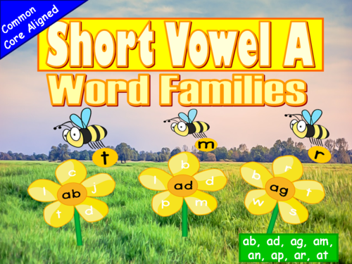 Short Vowels A Word Families | Teaching Resources