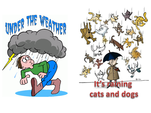 Idioms visual display | Teaching Resources