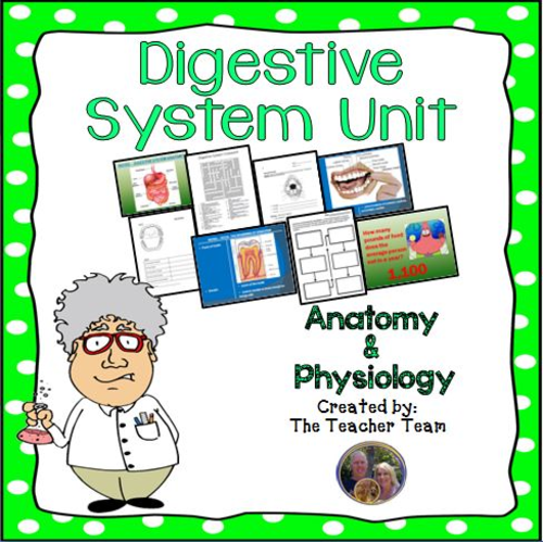 Digestive System Unit Bundle | Teaching Resources
