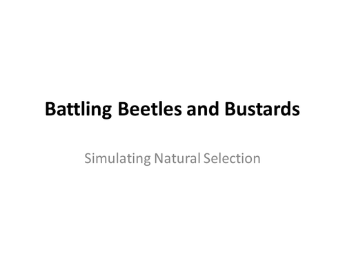 Simulating Natural Selection: Battling Beetles | Teaching Resources