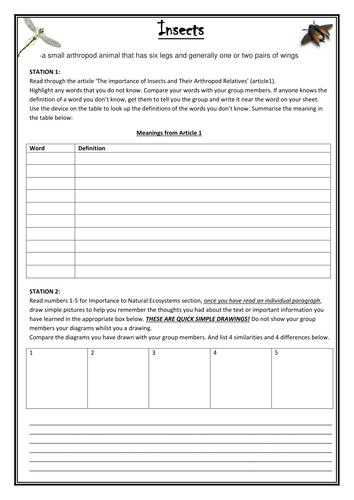 Importance of Insects | Teaching Resources