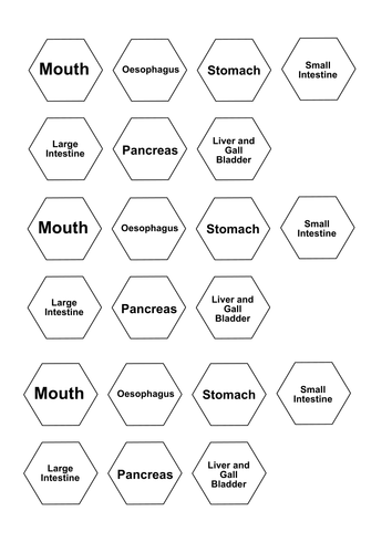 "Indigestion" the Digestion board game | Teaching Resources