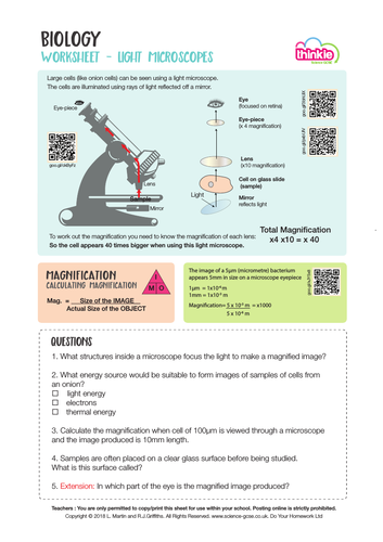AQA NEW GCSE BIOLOGY - MICROSCOPY AND TOTAL MAGNIFICATION by rehaank ...