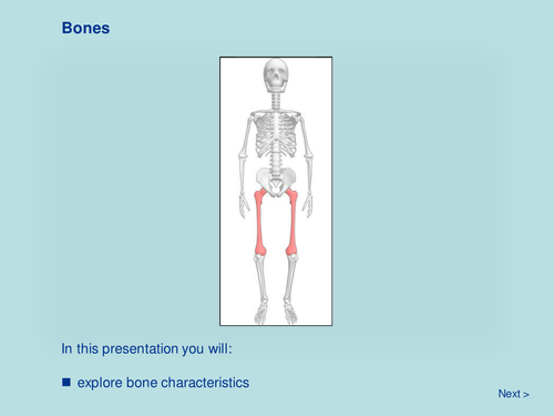 Brilliant Bones by HerbertLearning - Teaching Resources - TES
