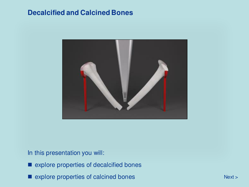 Decalcified and Calcined Bones | Teaching Resources