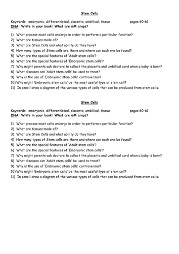 Stem Cells Summary Questions | Teaching Resources