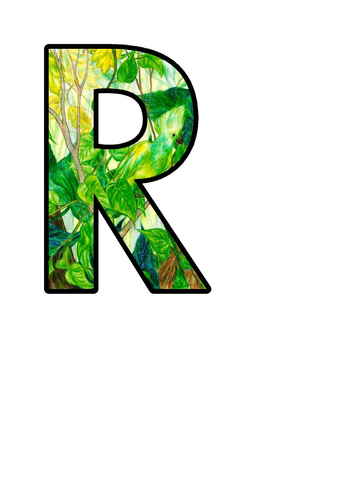 Rainforest Display Lettering by PollyPuddleduck - UK Teaching Resources ...