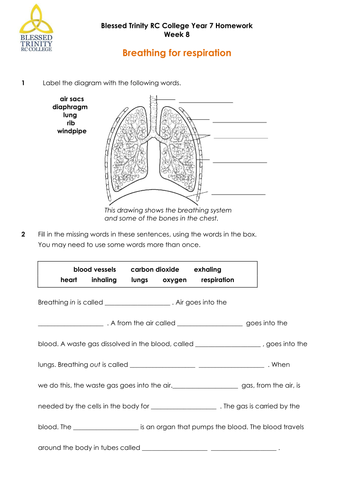 Breathing and the Lungs | Teaching Resources