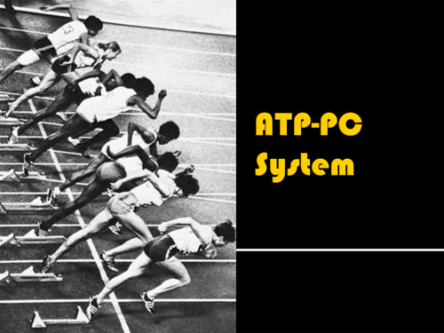 A-level P.E Exercise and Sports Physiology - The ATP / PC energy system ...