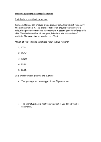Dihybrid Cross Questions With Answers