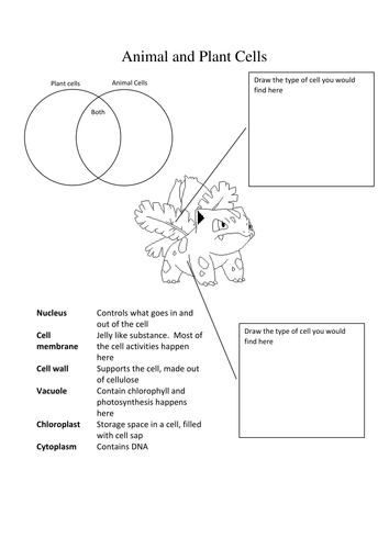 Pokemon Science - Animal and Plant Cells | Teaching Resources