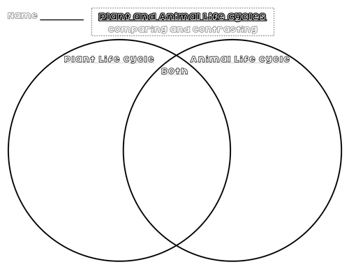 Plant and Animal Life Cycle: Comparing and Contrasting by LyndsDive ...