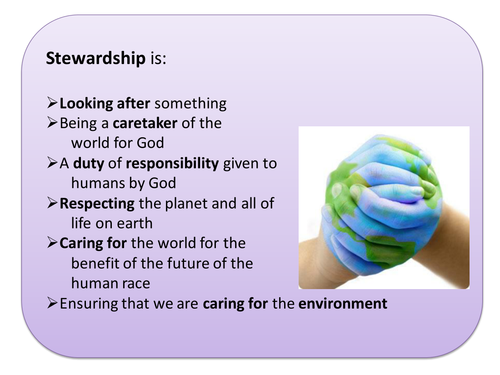 Stewardship and Environment Information Sheets PPT for revision ...