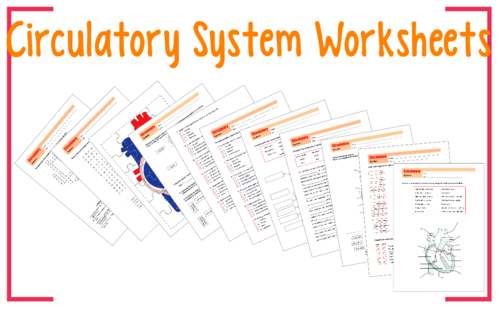 Parts of the Circulatory System KS2 Lesson Plan and Worksheets by ...