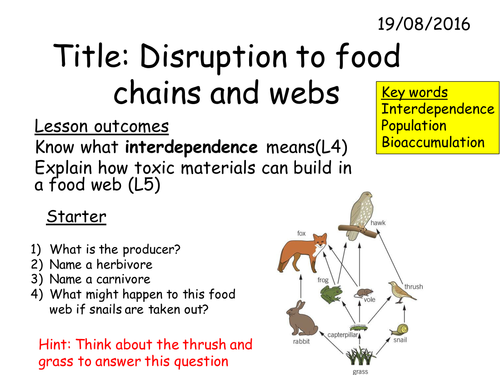 B2 2.8 Disruption to food chains and webs | Teaching Resources