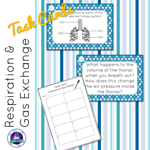 Respiration & Gas Exchange Task Cards | Teaching Resources