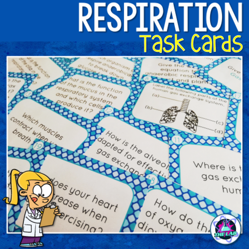 Respiration & Gas Exchange Task Cards | Teaching Resources