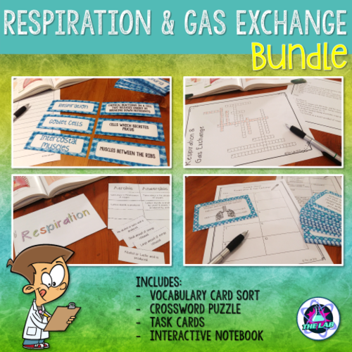 Respiration & Gas Exchange Bundle | Teaching Resources