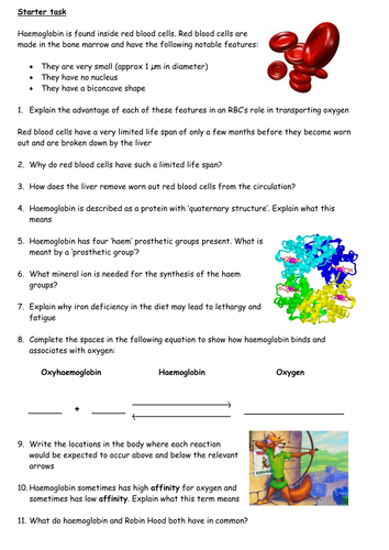 Haemoglobin - a complete discussion of properties and factors affecting ...