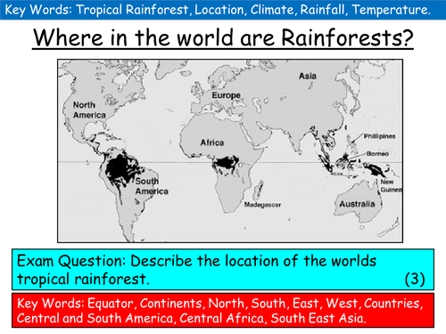 (New AQA) Lesson 6: Characteristics of the Rainforest (Climate ...