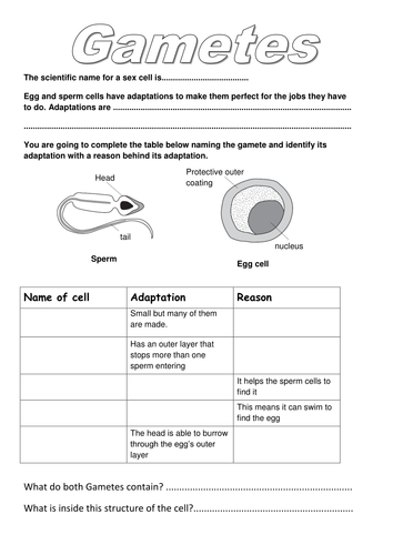 AS Biology Biological Molecules Test by Whizbit - Teaching Resources - TES