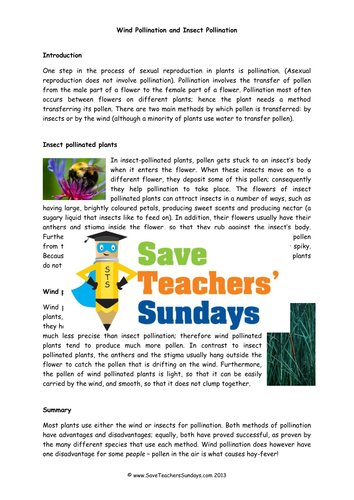 Wind Pollination and Insect Pollination KS2 Lesson Plan, and Worksheet ...