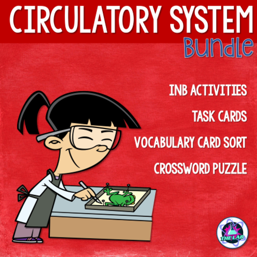 Circulatory System Bundle | Teaching Resources