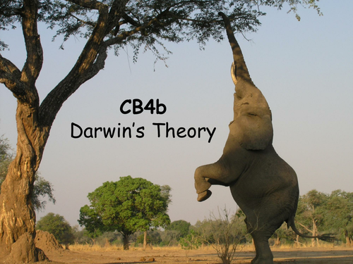 Edexcel CB4b Darwin's Theory | Teaching Resources Edexcel CB4b Darwin's Theory | Teaching Resources