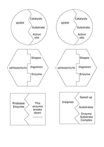 Enzymes - structure, function and factors affecting | Teaching Resources