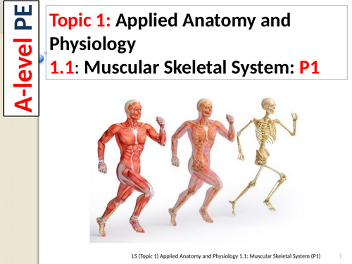 A-level PE EDEXCEL (Spec 2016) 1.1: Muscular Skeletal System (Part 1 ...