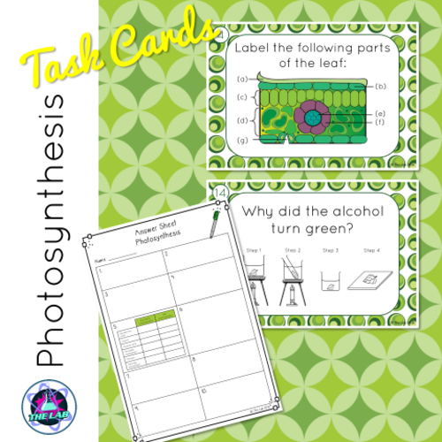 Photosynthesis Task Cards | Teaching Resources