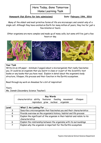 KS3 Science Cells Home Learning Task | Teaching Resources
