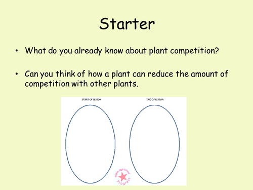 Plant Competition (with HSW) | Teaching Resources