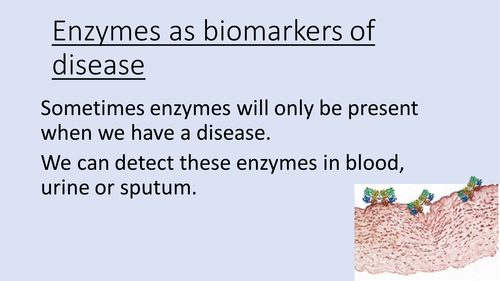 Enzymes as Biomarkers | Teaching Resources