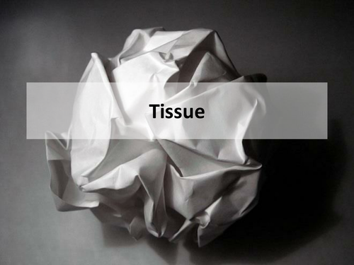 Dharker's Tissue (with Annotations) Lesson - Power and Conflict ...