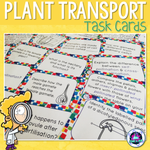 Transport in Plants Task Cards | Teaching Resources