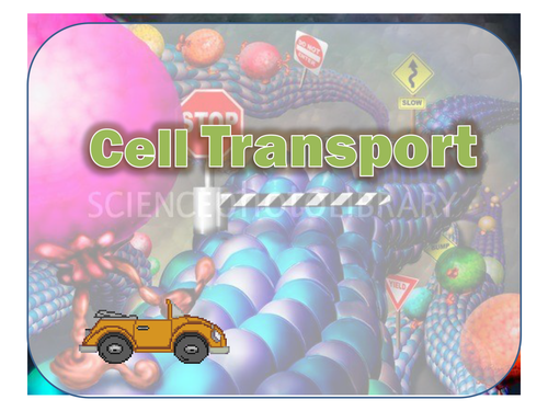 Cell Transport Powerpoint | Teaching Resources