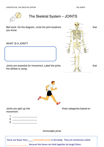 GCSE PE Skeletal system: Joints worksheet | Teaching Resources GCSE PE Skeletal system: Joints worksheet | Teaching Resources